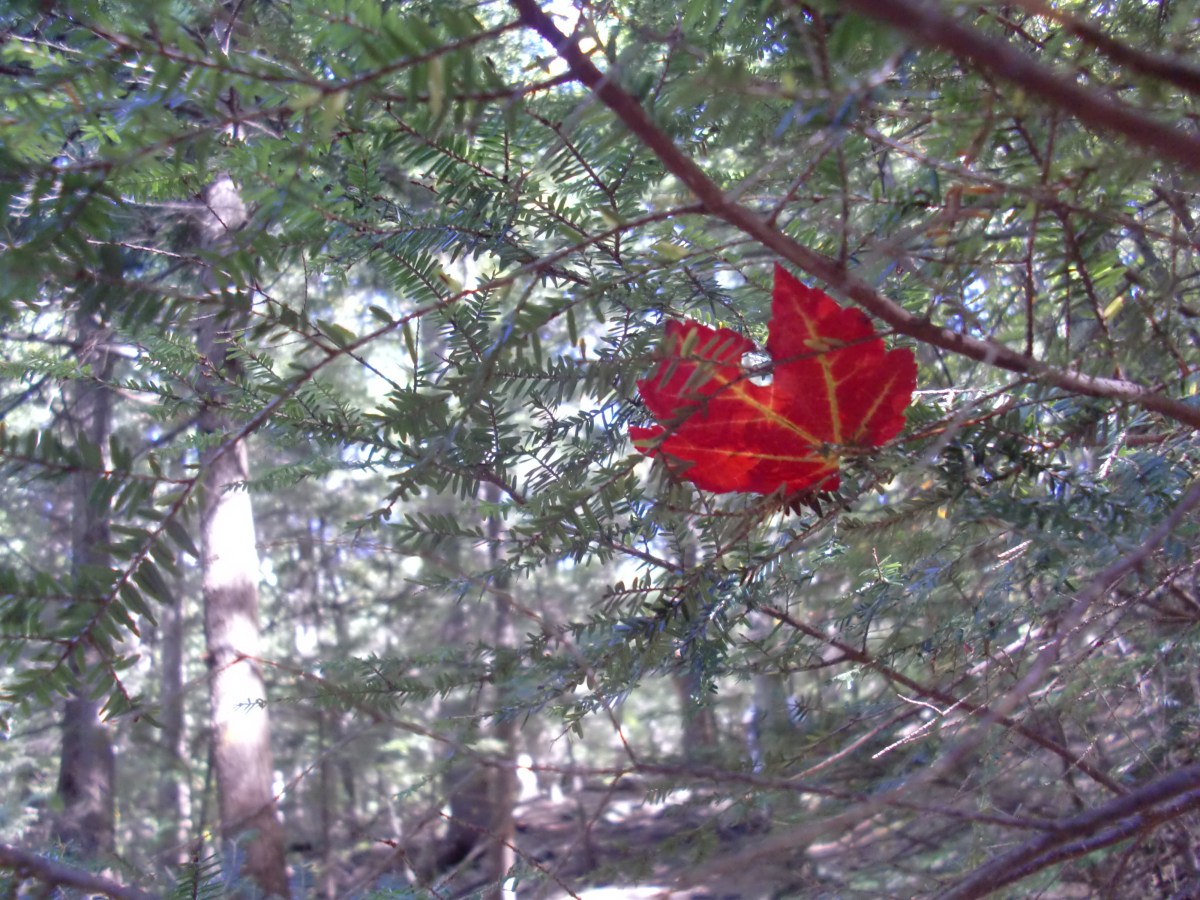 Bold Humility – Imperfect Happiness